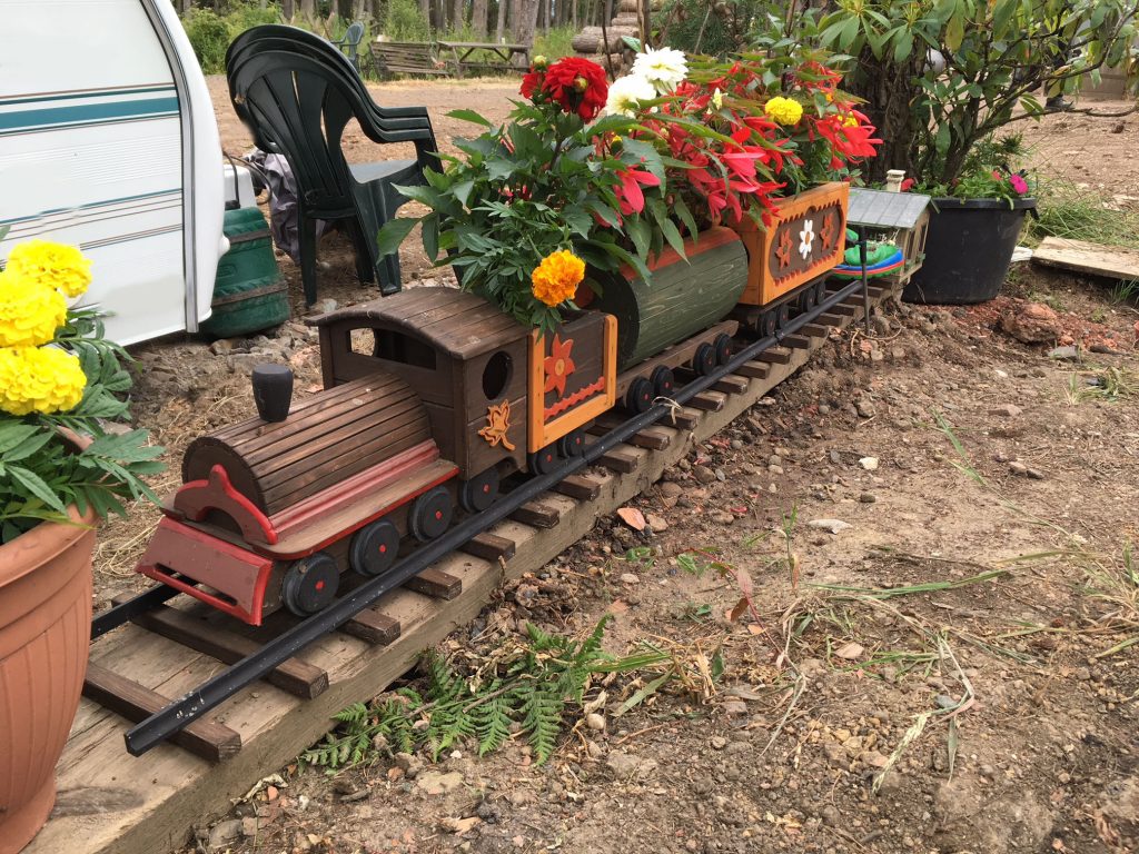 Almondell Steam Train 001 | Edinburgh Society of Model Engineers